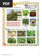 Kid's Box 1 Activity Book - Flip PDF - FlipBuilder | PDF