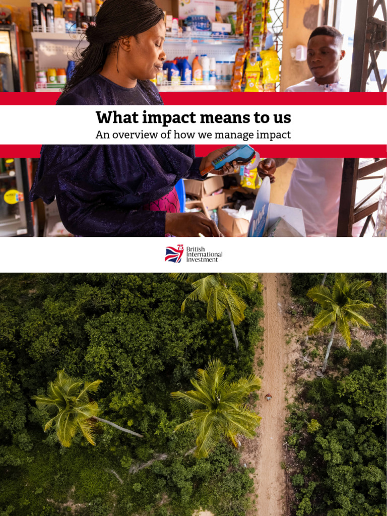 BII - What Impact Means To Us - May2023 | PDF | Sustainability | Investment Management