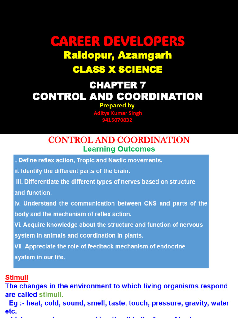 PPT-Control and Co Ordination CLASS X | PDF | Neuron | Nerve