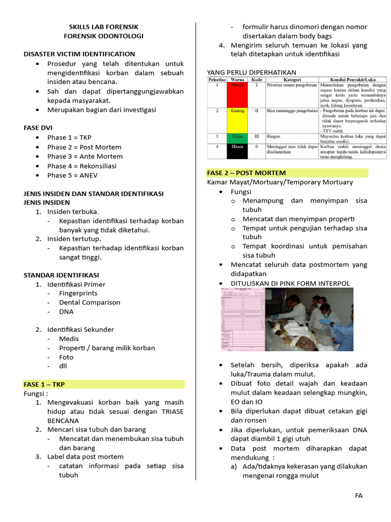 Odontologi Forensik 3 | PDF