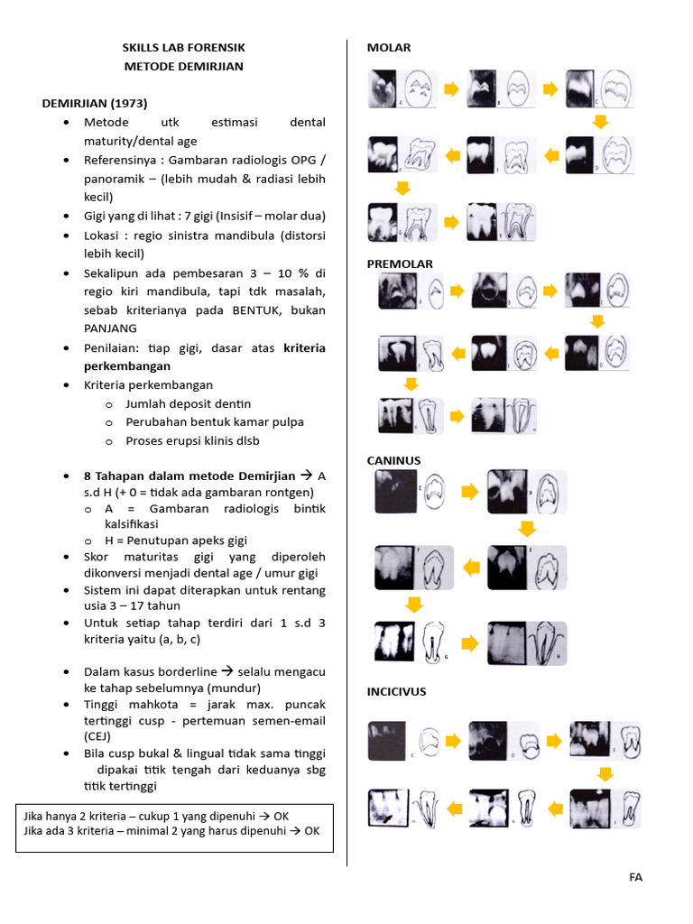 ODONTOLOGI FORENSIK 6 | PDF