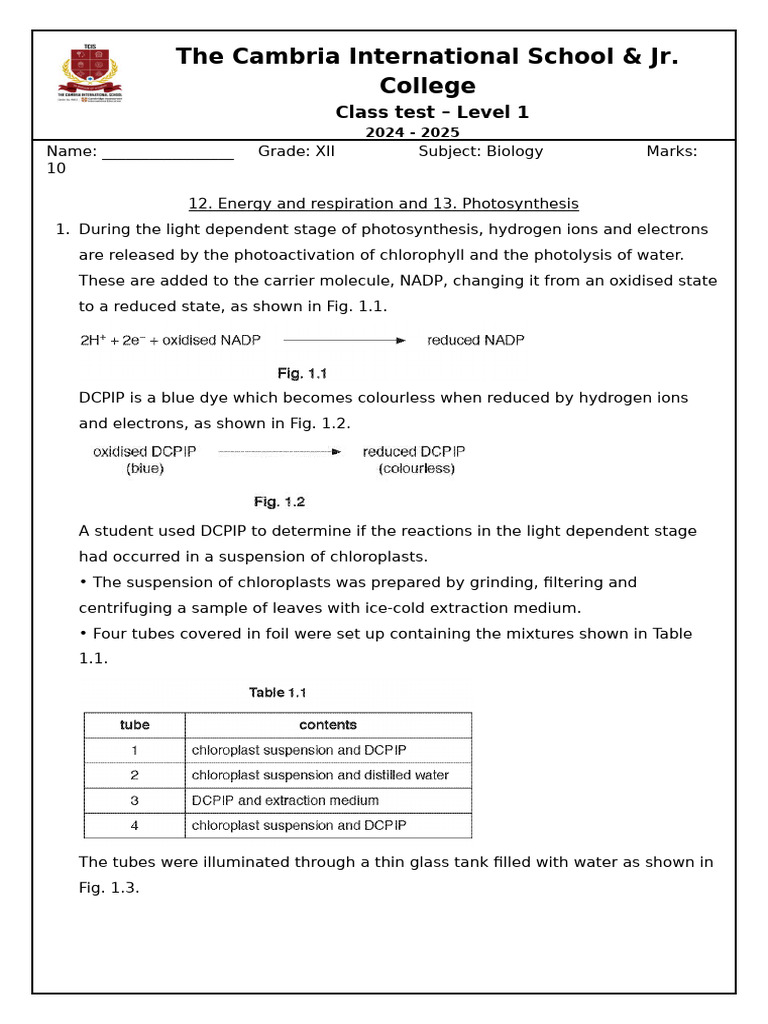 DCPIP Experiment in Photosynthesis | PDF | Photosynthesis | Chemistry