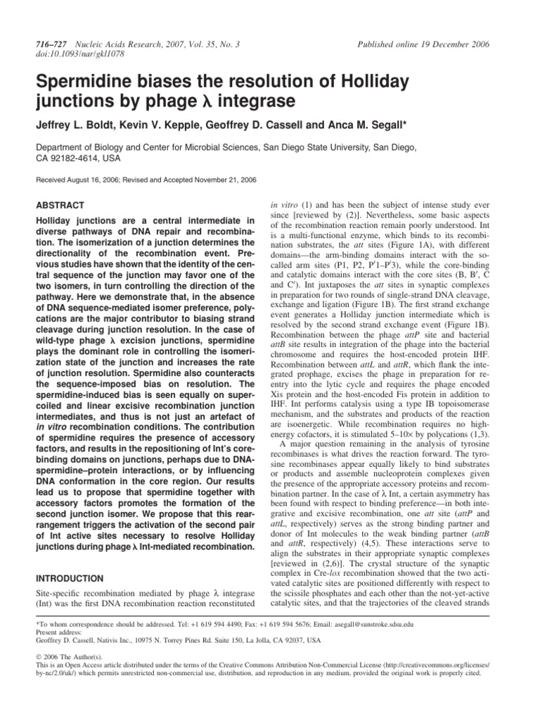 Spermidine - Increase Directionality of The Cre Reaction | PDF | Dna ...