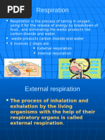 Class 10 Respiration Notes | PDF | Respiratory System | Respiratory Tract