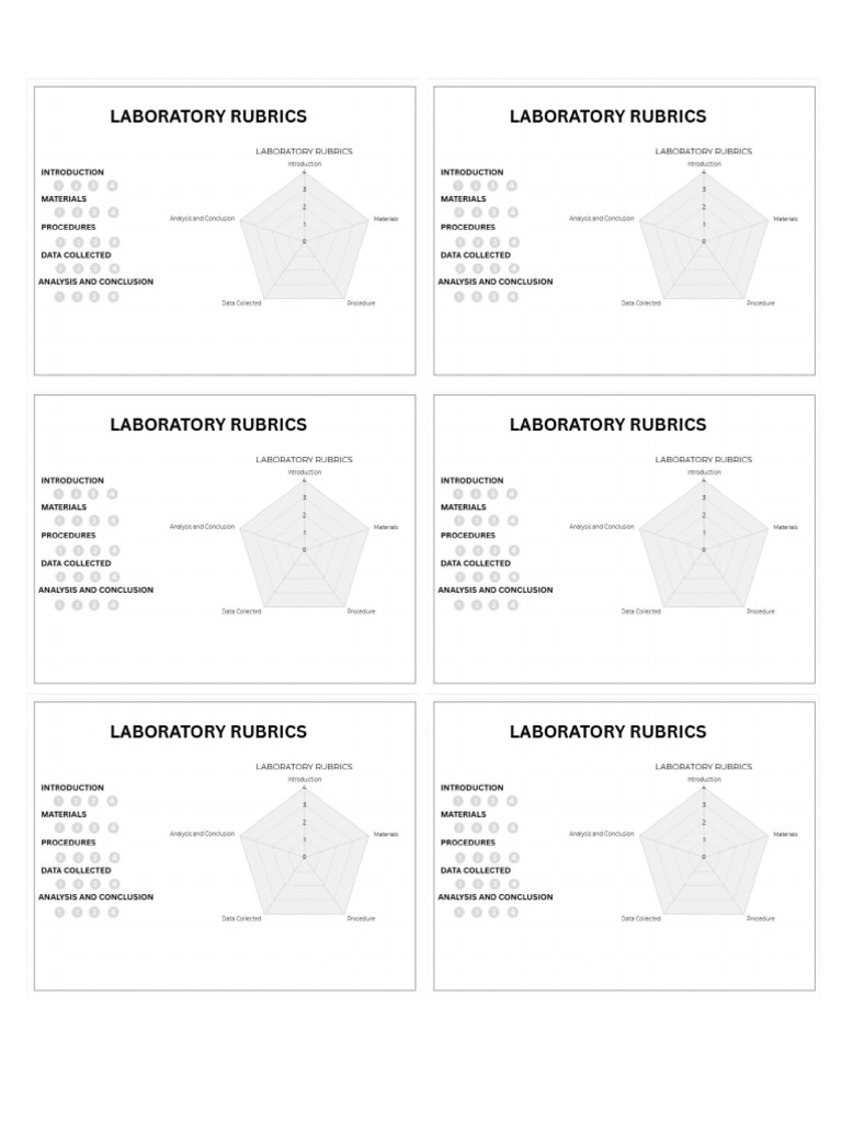 Lab Rubrics Template | PDF