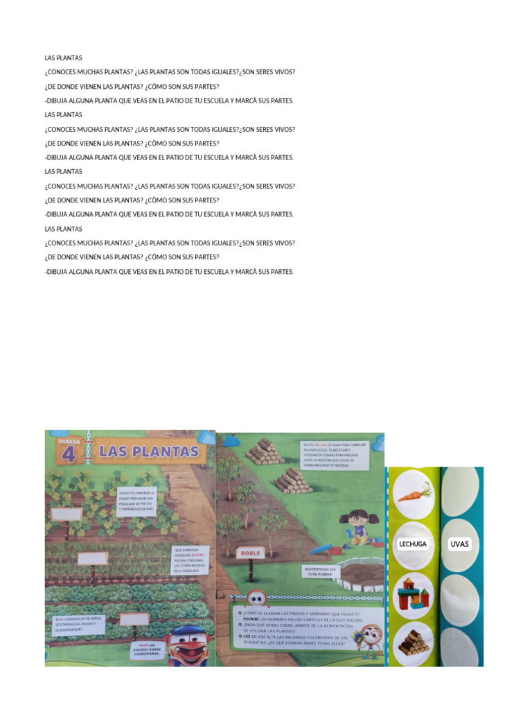 Rompecabezas de Plantas para Niños | PDF
