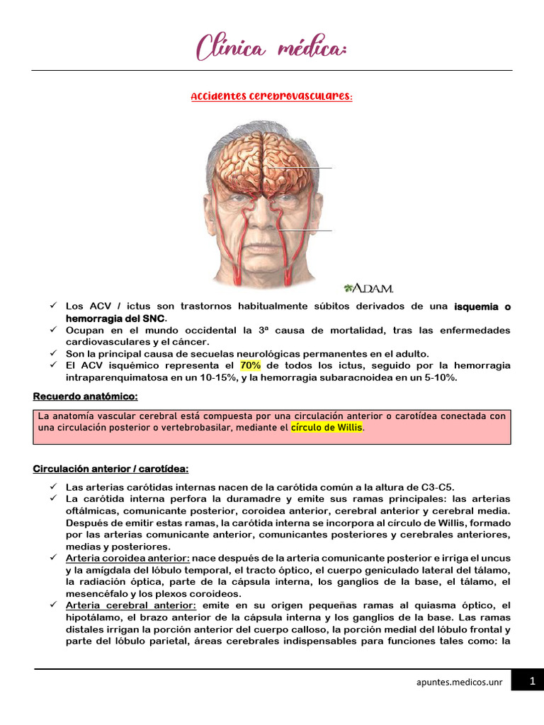 Accidente Cerebrovascular Isquémico | PDF | Carrera | Isquemia
