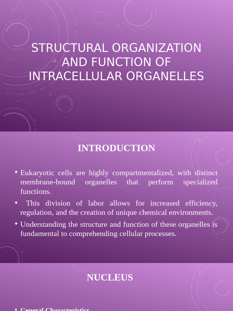 Structure and Function of Organelles | PDF | Endoplasmic Reticulum ...