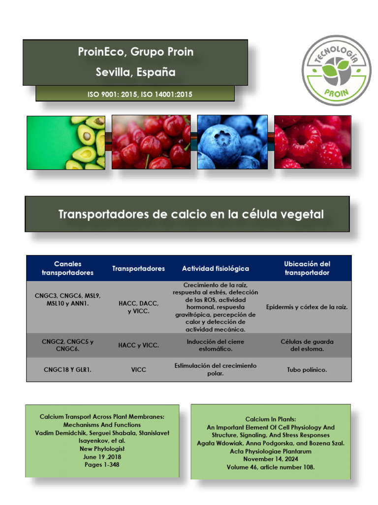 Transportadores de Calcio en La Célula Vegetal | PDF
