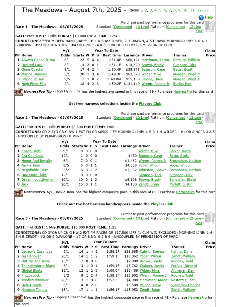 The Meadows | PDF | Odds | Horse Gait