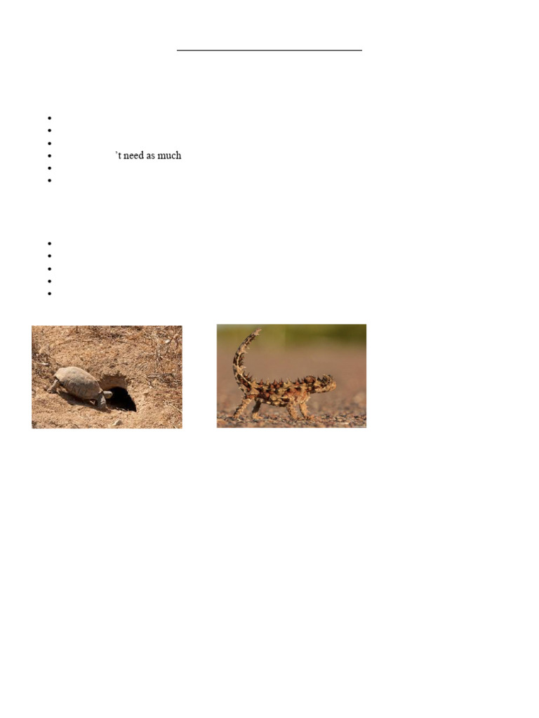 Grassland and Desert Habitats Explained | PDF