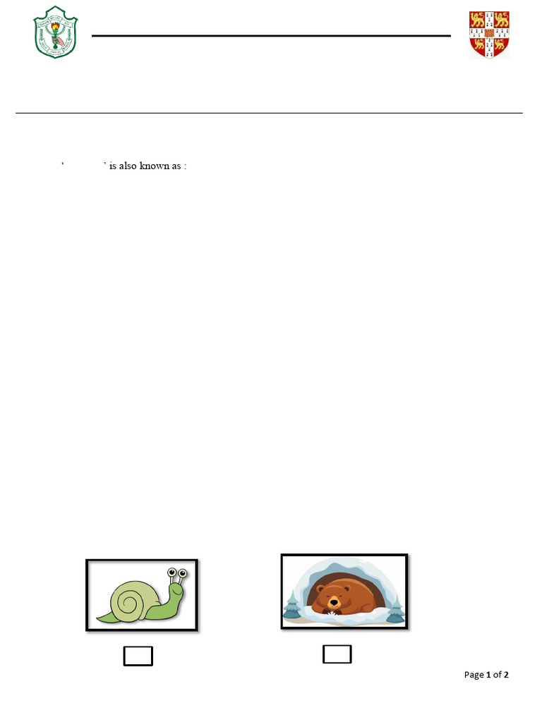 Class5 Revision Worksheet | PDF