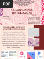 Colorantes Ácidos y Básicos | PDF | Técnicas de laboratorio. | Ciencias ...