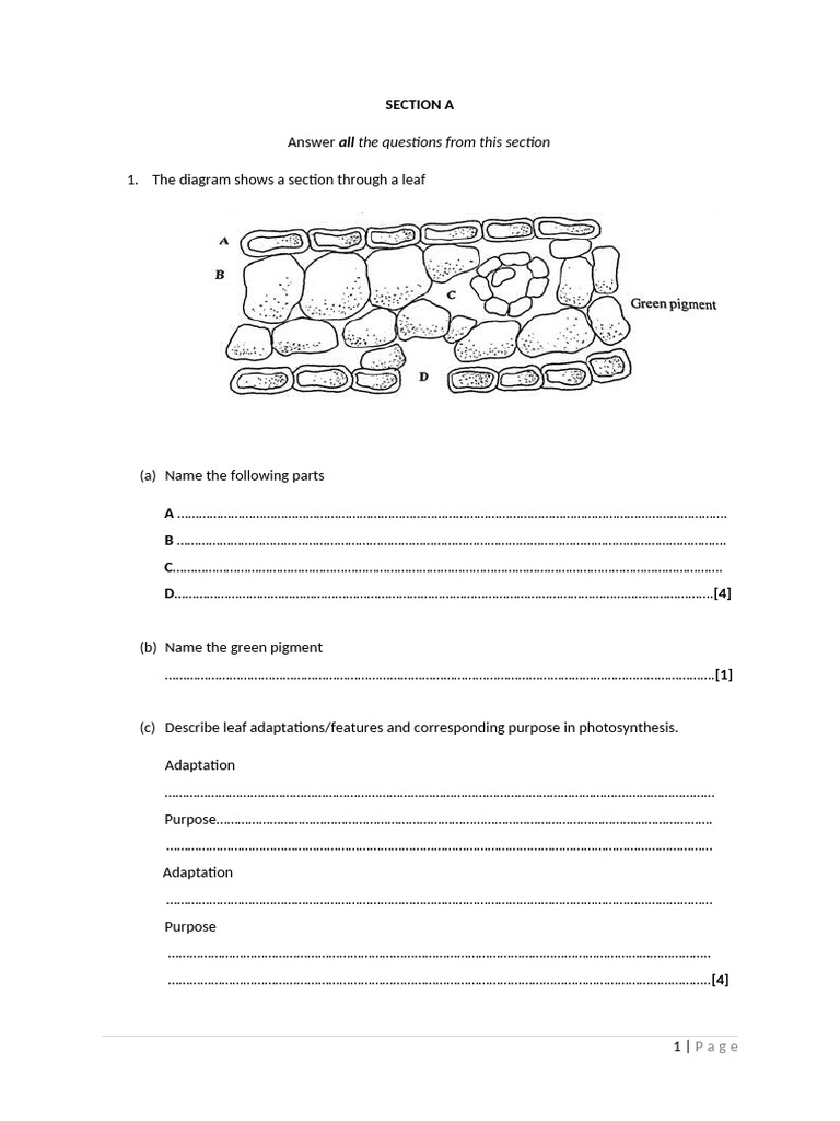 Co-scie Paper 2 Form 3 | PDF | Flowers | Organisms