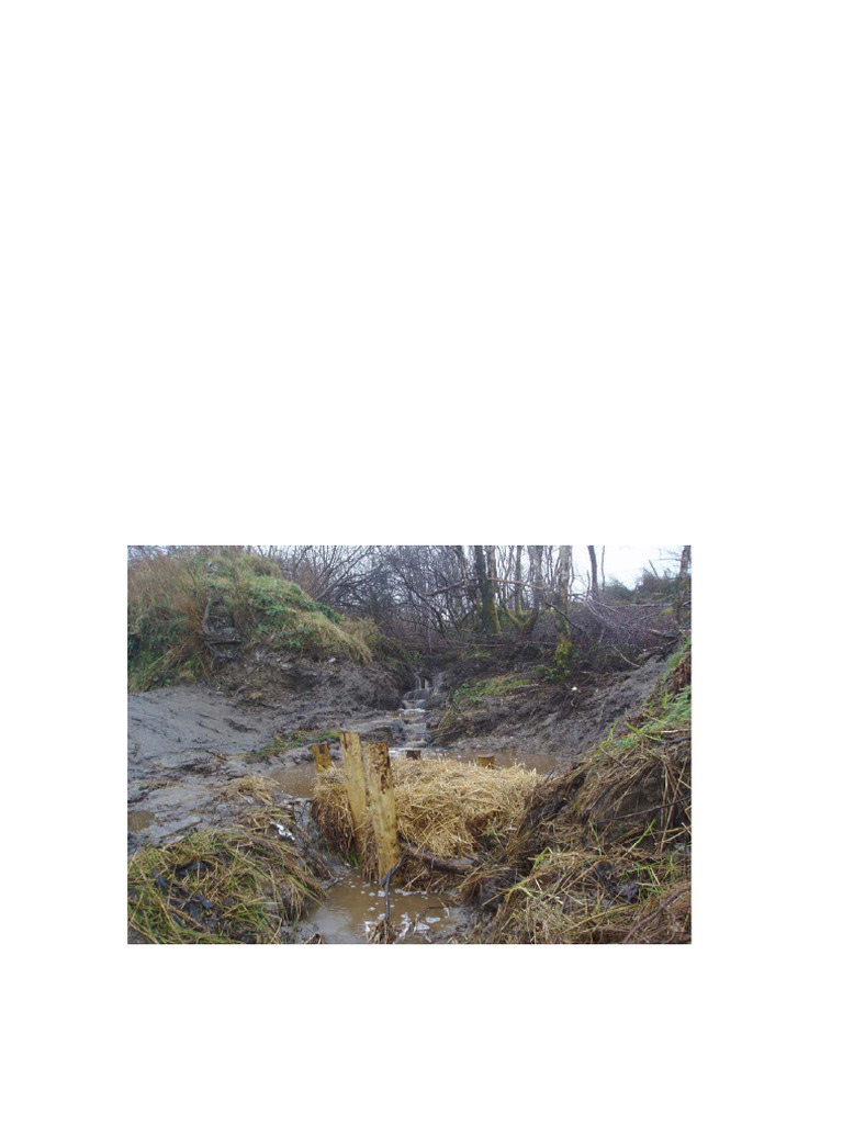 Environmental Impact of Clear Felling | PDF | Erosion | Soil
