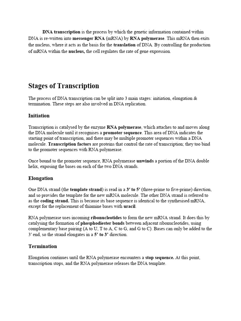 DNA Transcription Process Explained | PDF