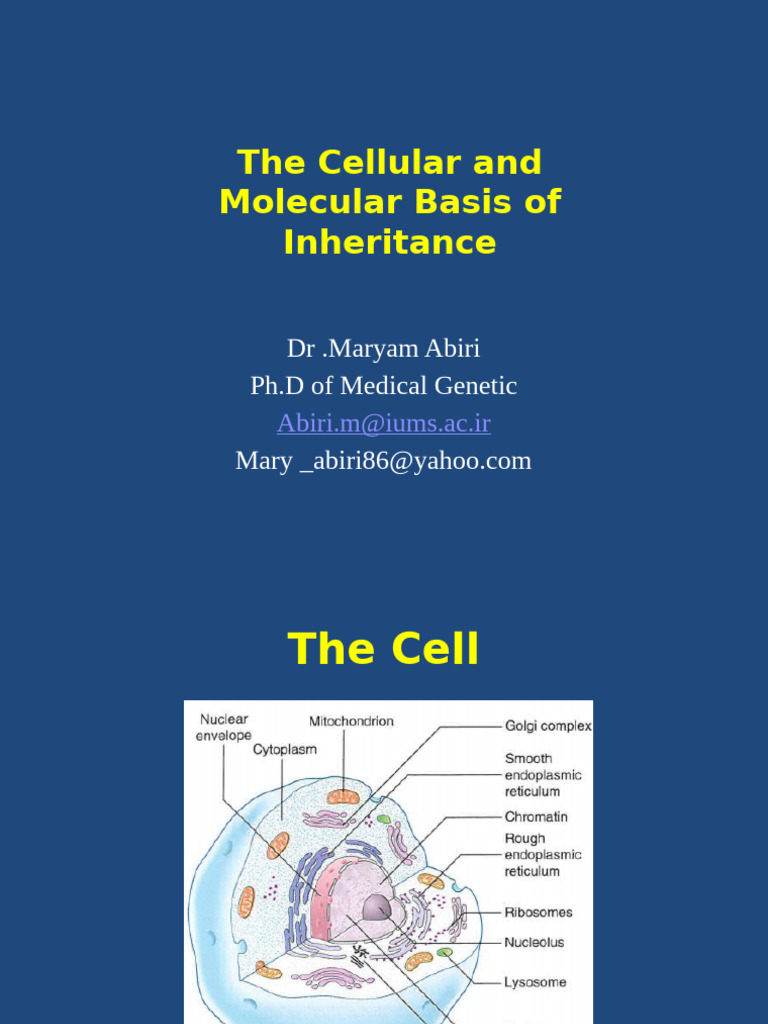 The Cellular and Cellular Basis of Inheritance | PDF | Dna | Dna ...