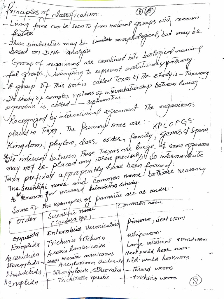 Principle of Classification and Lifecycles | PDF