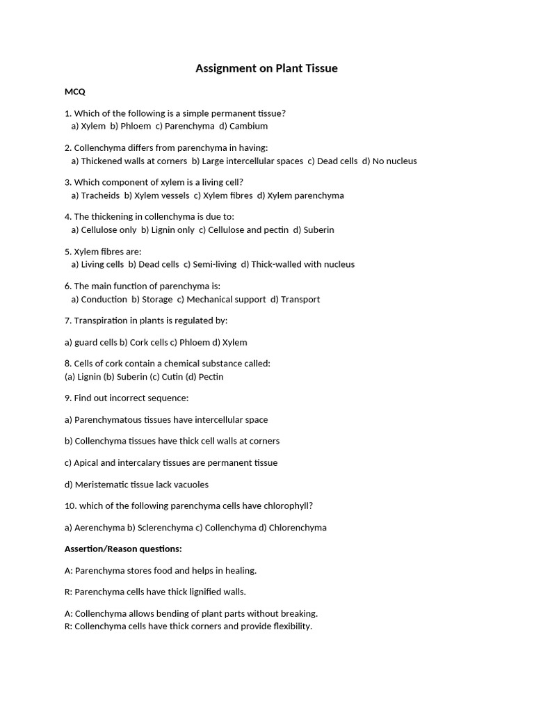 1406-C-17111-Class 9 Assignment Plant Tissue New | PDF | Tissue ...