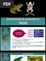 Frog Organ Systems Overview | PDF | Gastrointestinal Tract | Small ...