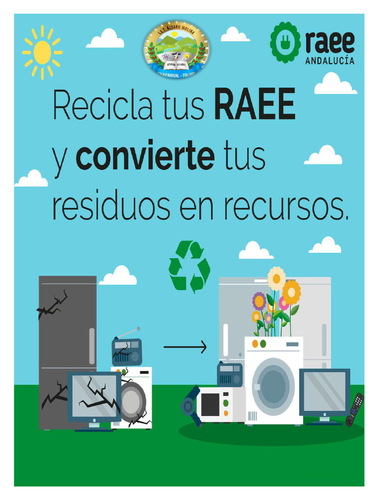 RAEE | PDF