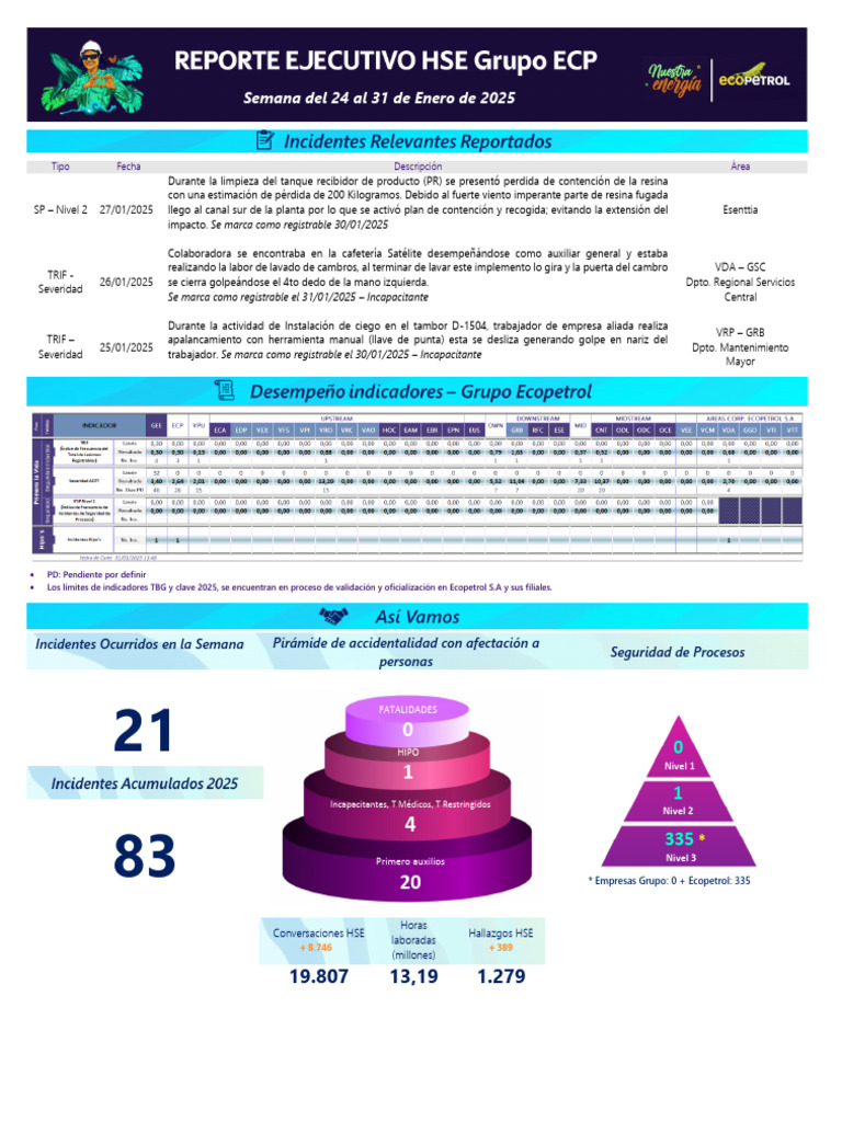 Reporte Ejecutivo HSE - GEE | PDF