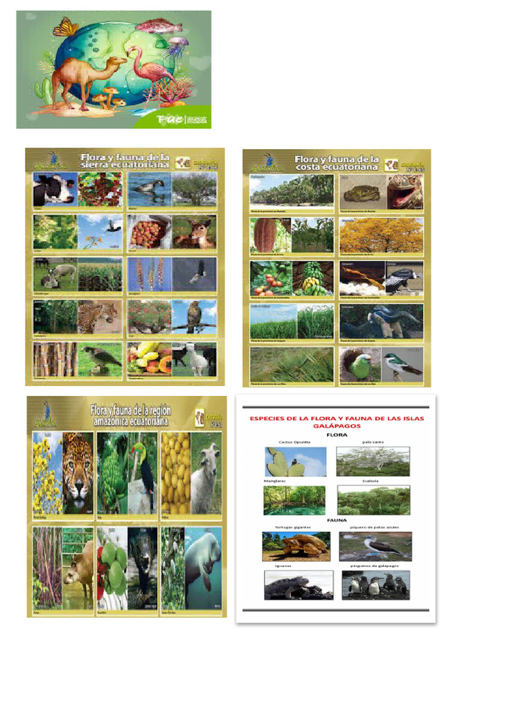 Bio Divers I Dad | PDF