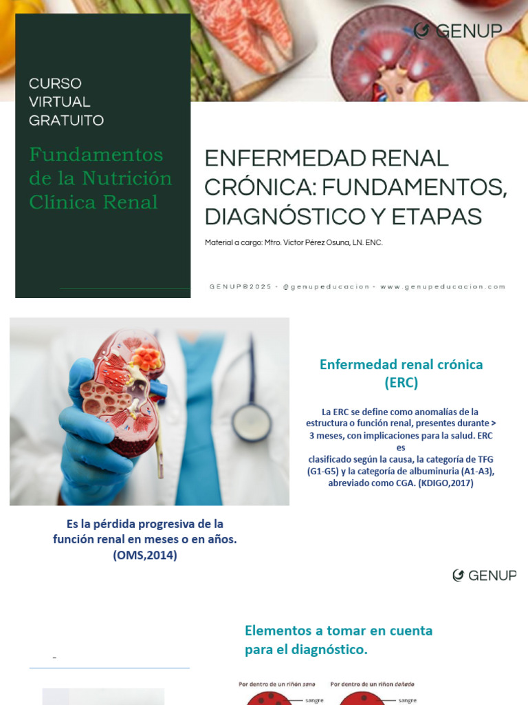 Diagnóstico y etapas de la ERC | PDF | Enfermedad renal crónica ...