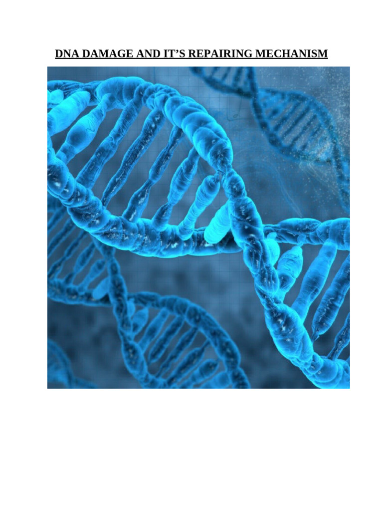 DNA Damage and Repair Mechanisms | PDF | Dna Repair | Dna