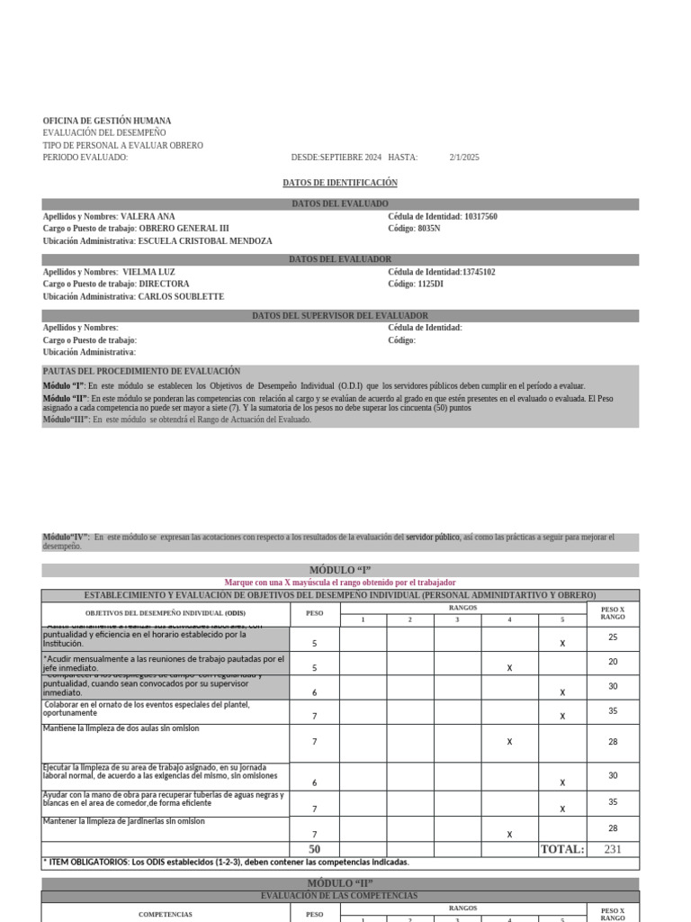 Planilla de Evaluacion Ana Valera | PDF
