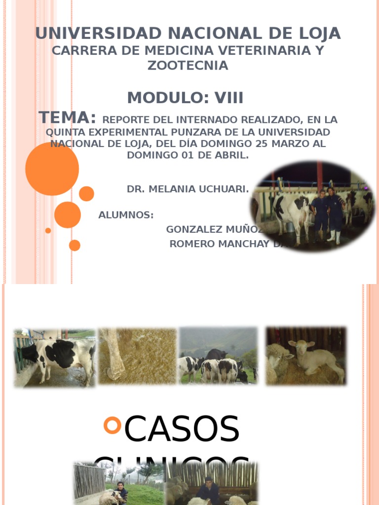 Acidosis Ruminal en Vacas: Diagnóstico y Tratamiento | PDF | Vacas | Heces