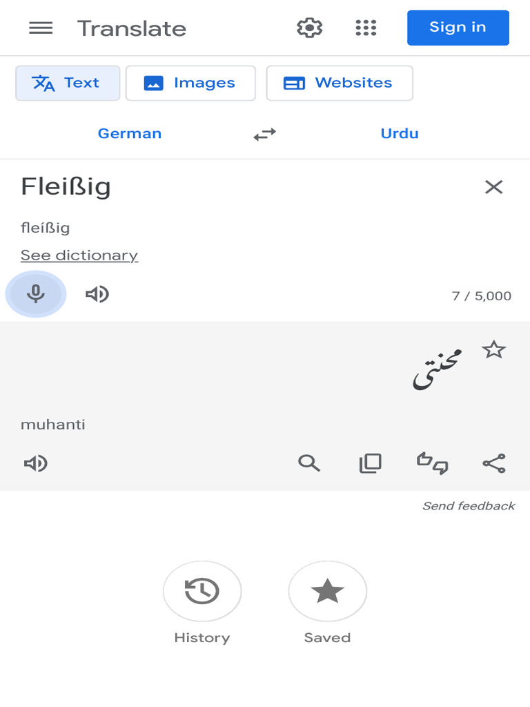 Google Translate | PDF