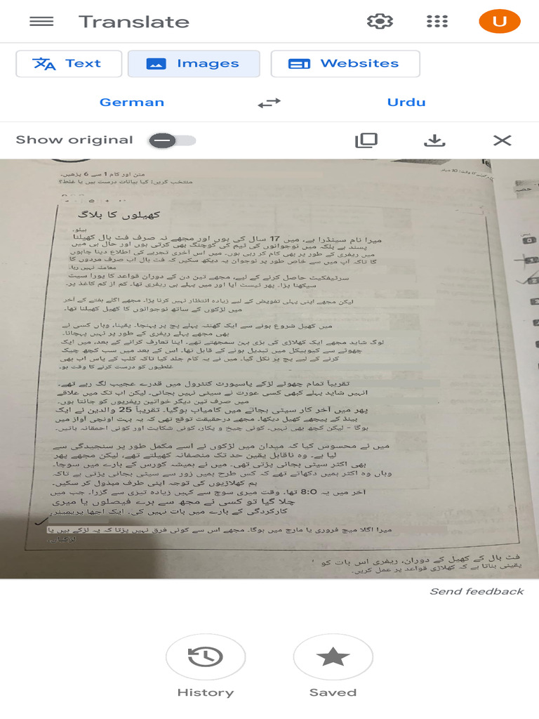 Google Translate 4 | PDF