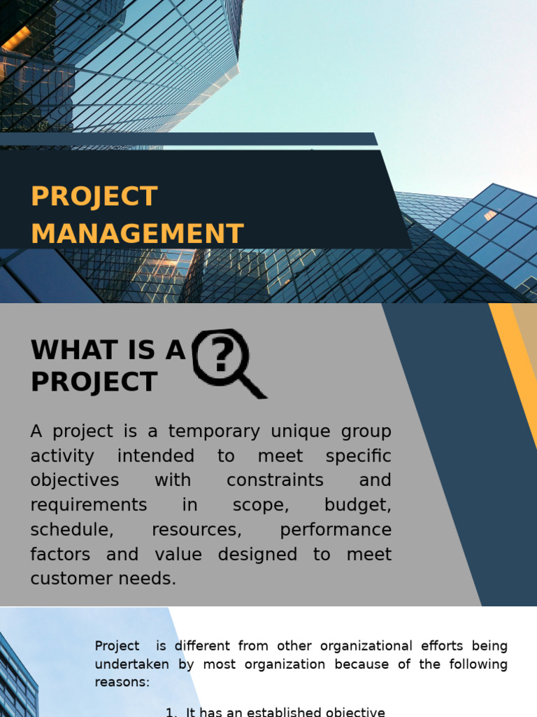 Project Management Report | PDF | Project Management | Product Lifecycle