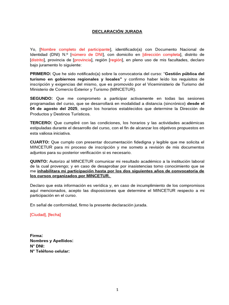 Formato_Declaración Jurada 2025 | PDF