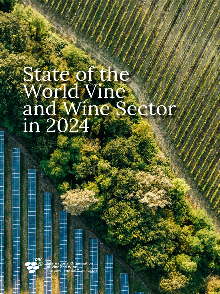 OIV State of the World Vine and Wine Sector in 2024 | PDF | Vineyard | Wine