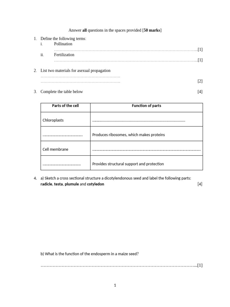 Agricultural Science End of February Test | PDF | Plant Stem | Anatomy