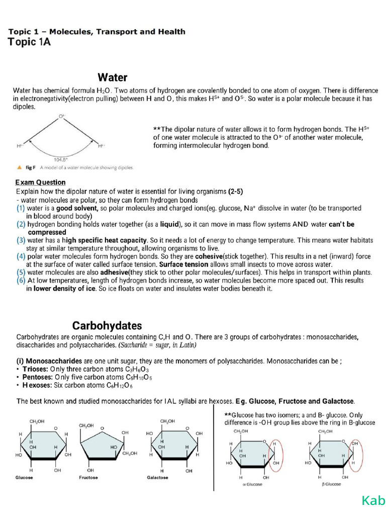 Edexcel IAS Bio Unit 1 Notes | PDF