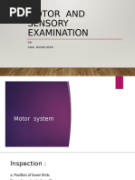 Upper Limb Muscle Power and Strength Examination | PDF | Thumb ...