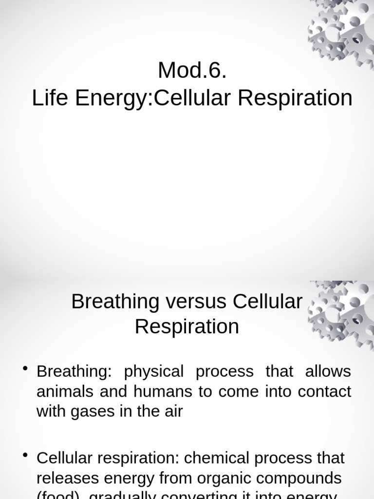 Cellular Respiration Explained: Pathways & Processes | PDF | Cellular ...