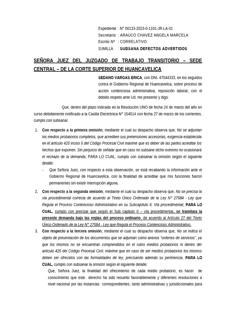 Demanda Arika - Subsanación | PDF | Ley procesal | Gobierno
