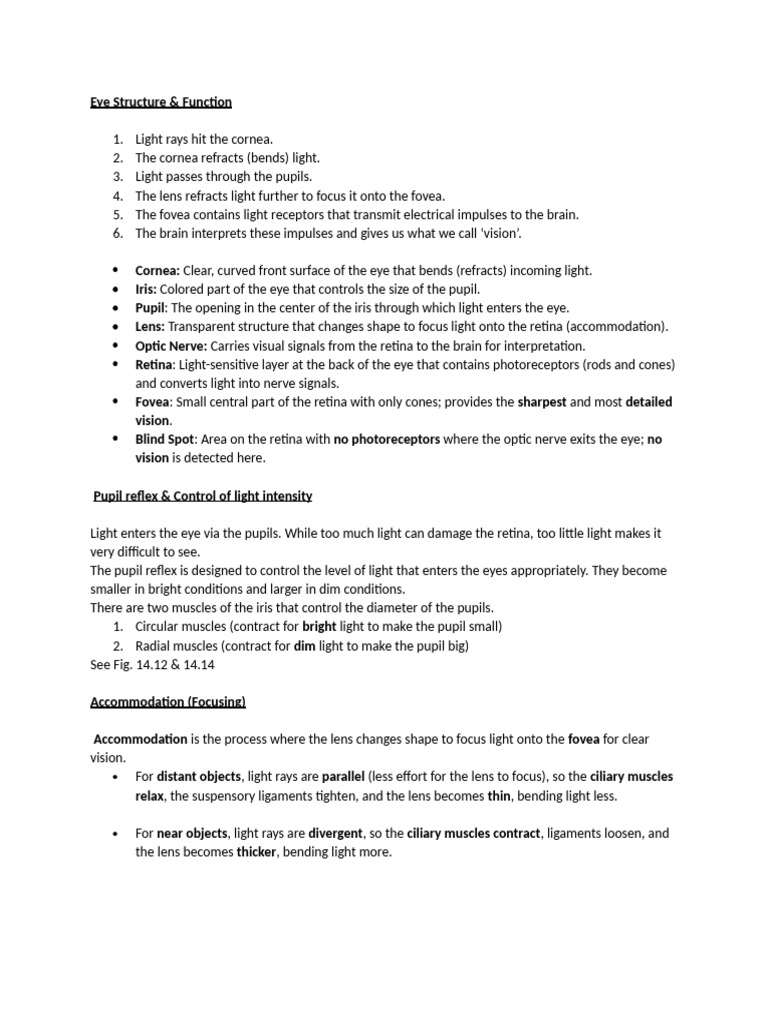 Unit 14 - 3 (Eye Structure) | PDF