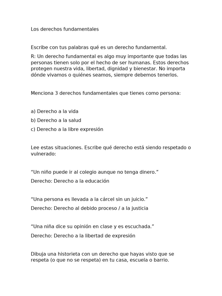 Los Derechos Fundamentales | PDF