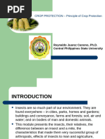 Tagmosis | PDF | Insects | Arthropodology