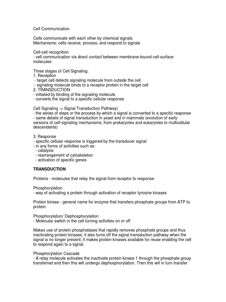 Intro ST Report | PDF