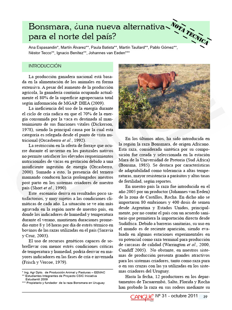 Bonsmara | PDF | Vacas | Uruguay