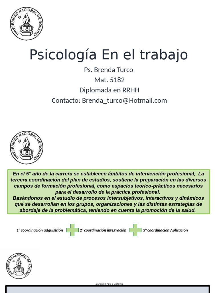 Psicologia en El Trabajo | PDF | Salud mental | Mente