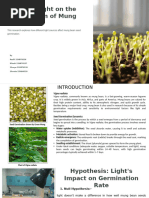 Germination Mung Beans | PDF | Seedling | Seed