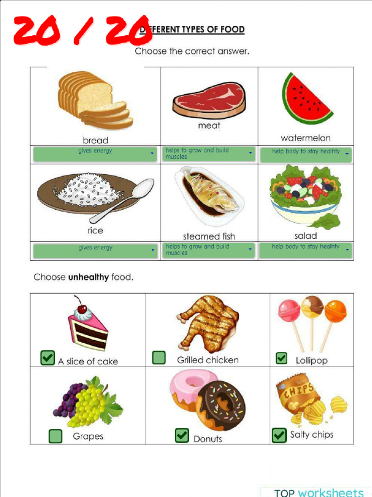 Different Types of Food | PDF