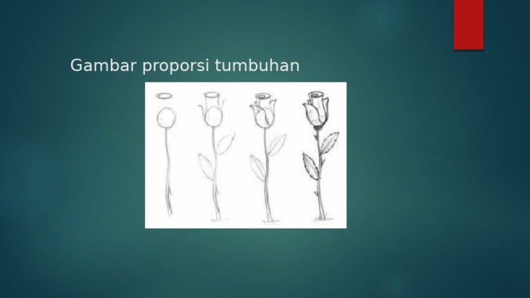 Gambar Proporsi Tumbuhan | PDF